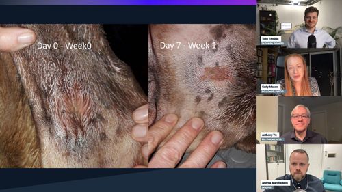 ELEARNING.VET - Memberships Veterinary Professionals, UK